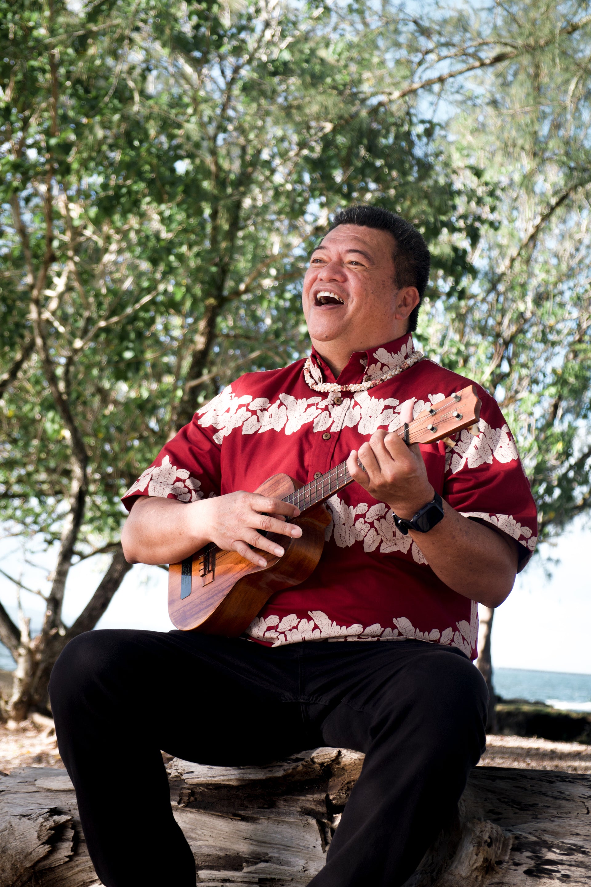 Mahina ʻŌlelo Hawaiʻi- Nāʻilima Gaison – Sig Zane Designs